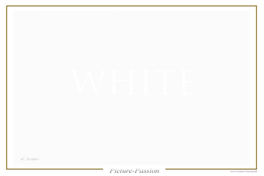 "White" Foto & Bild | fotos, art, white Bilder auf fotocommunity