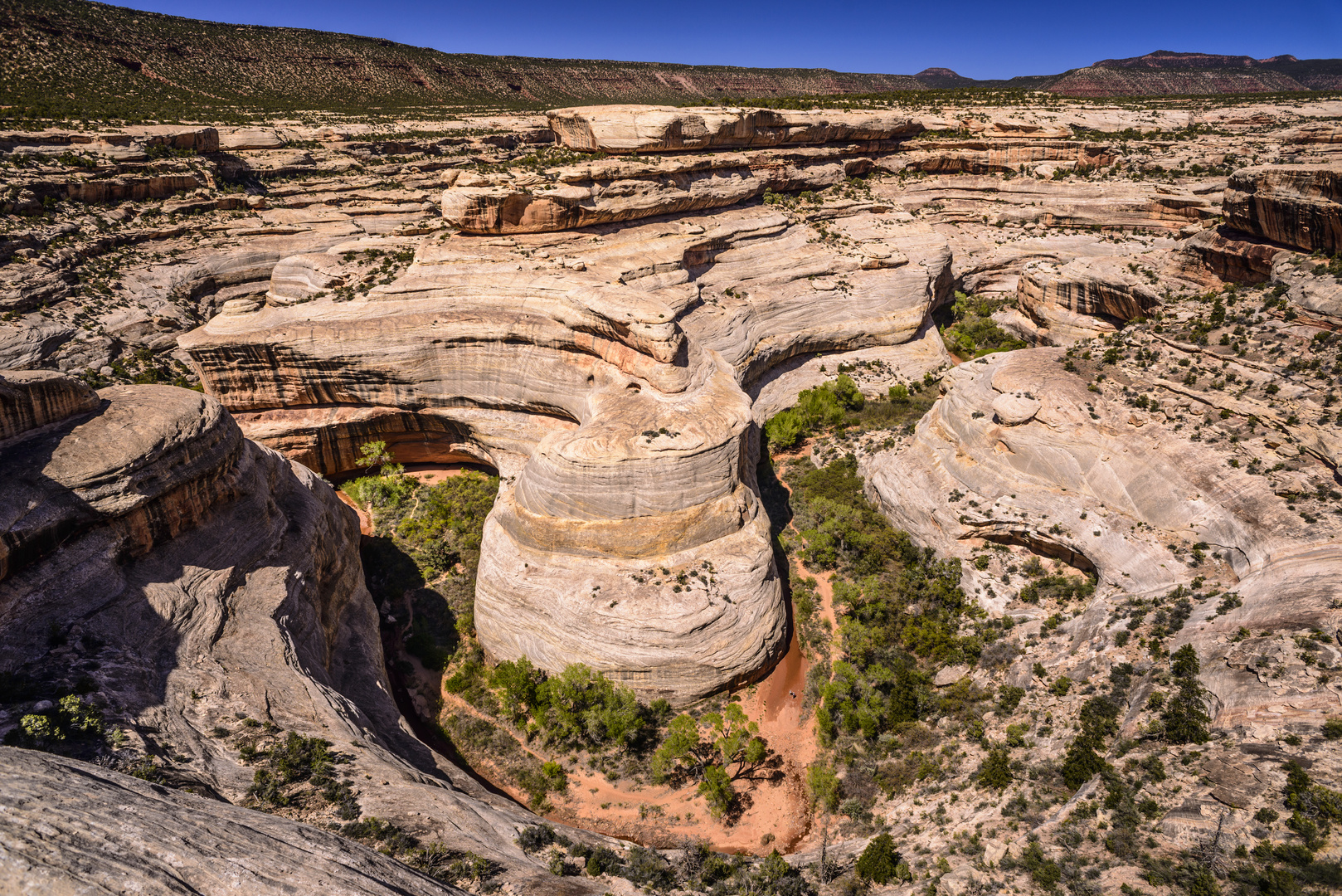 White Canyon, Natural Bridges National Monument, Utah, USA Foto & Bild ...