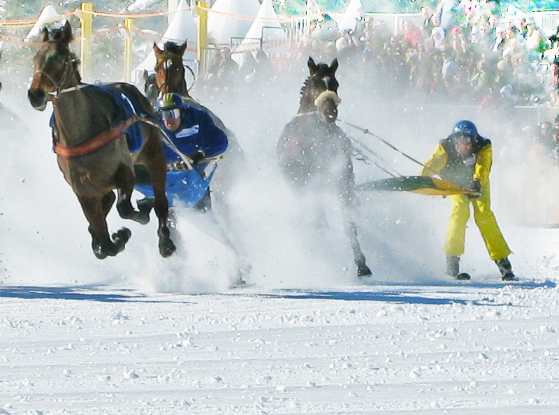White Turf Foto & Bild | monatswettbewerbe, 2023, 02: winter Bilder auf ...