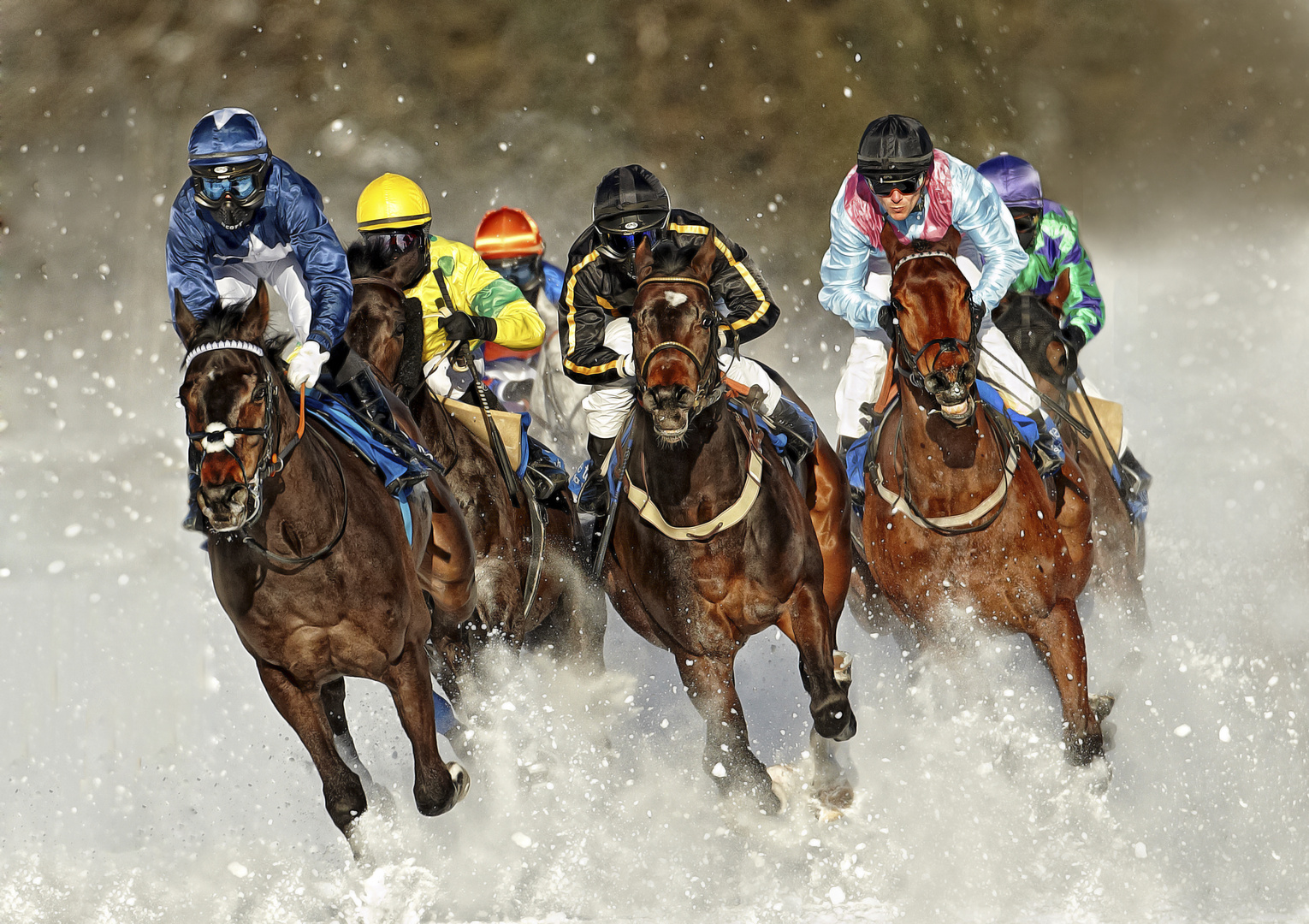 White Turf 3 Foto & Bild | archiv, a r c h i v aktuell, bewegung Bilder ...