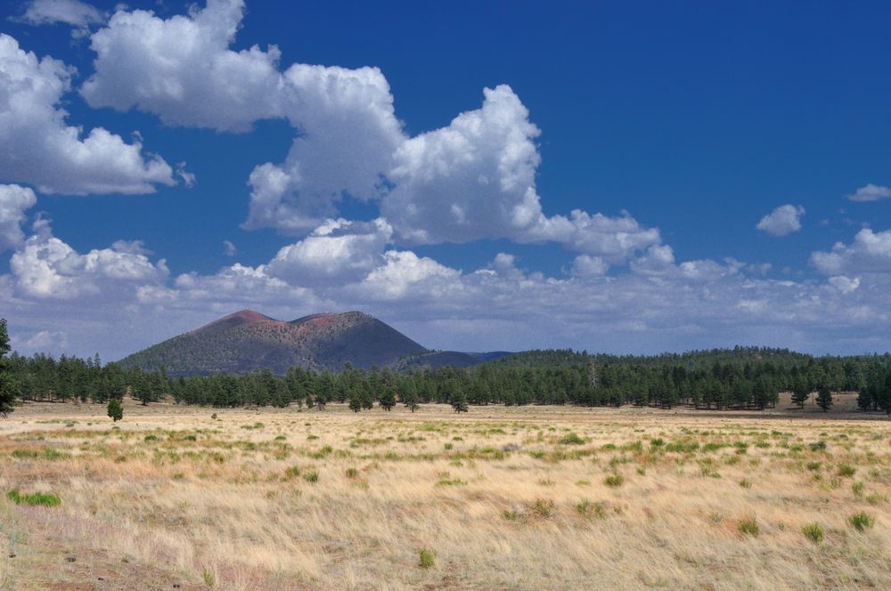 wide, wide Arizona Foto & Bild | landscape, fields & meadows, united ...