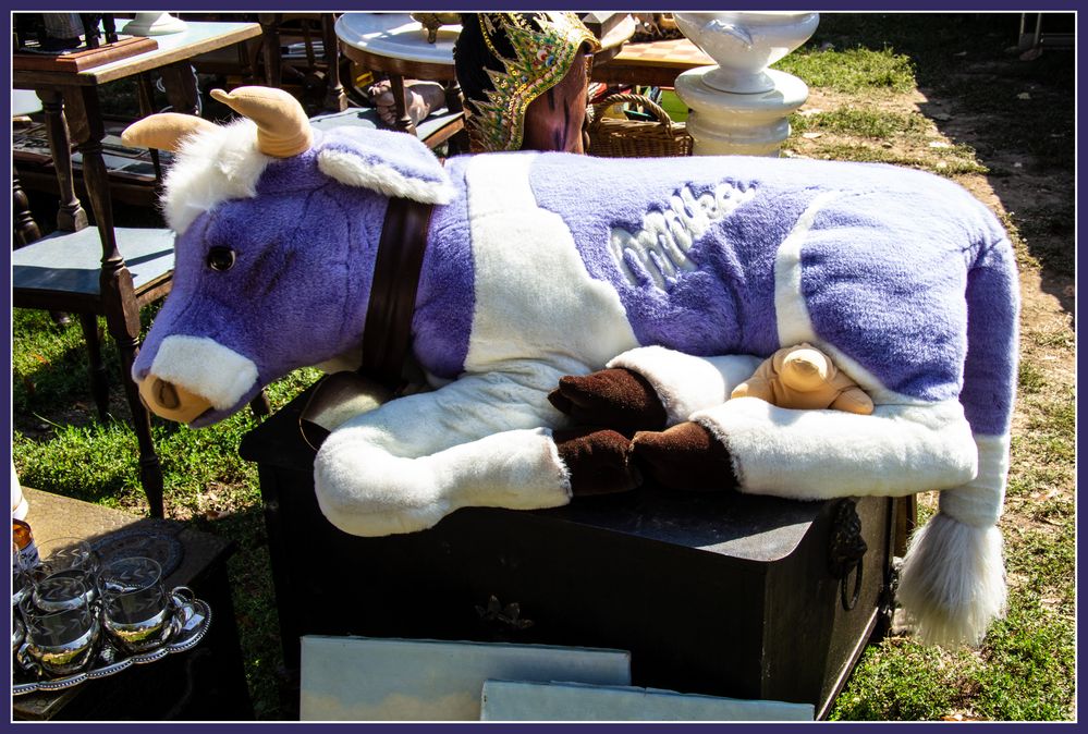 Wie Dazumal ... MILKA-Kuh ... Foto & Bild | spezial, dokumentation ...