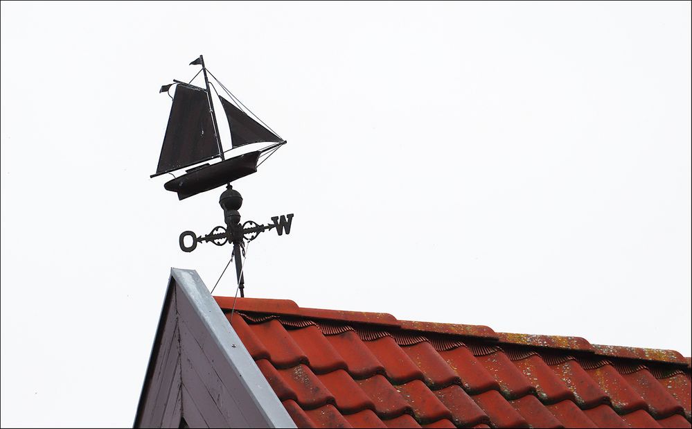 wie der Wind weht Foto & Bild | kunstfotografie & kultur, kleinkunst ...