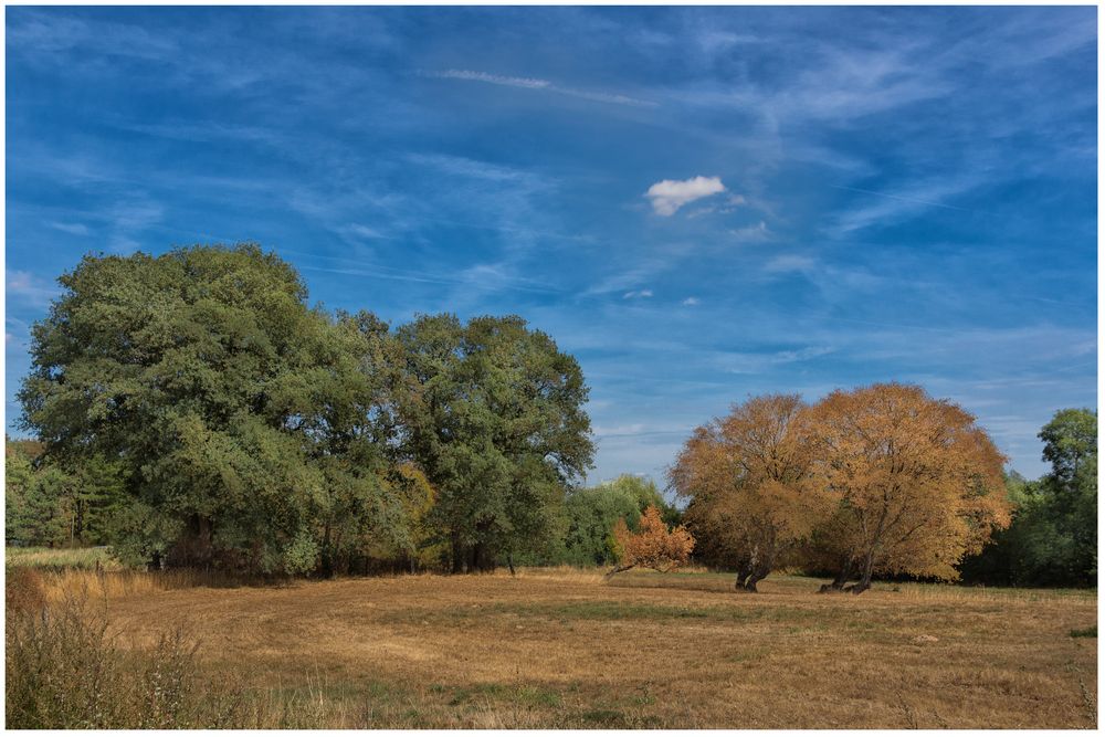 Wie gemalt Foto & Bild | landschaft, jahreszeiten, sommer Bilder auf fotocommunity