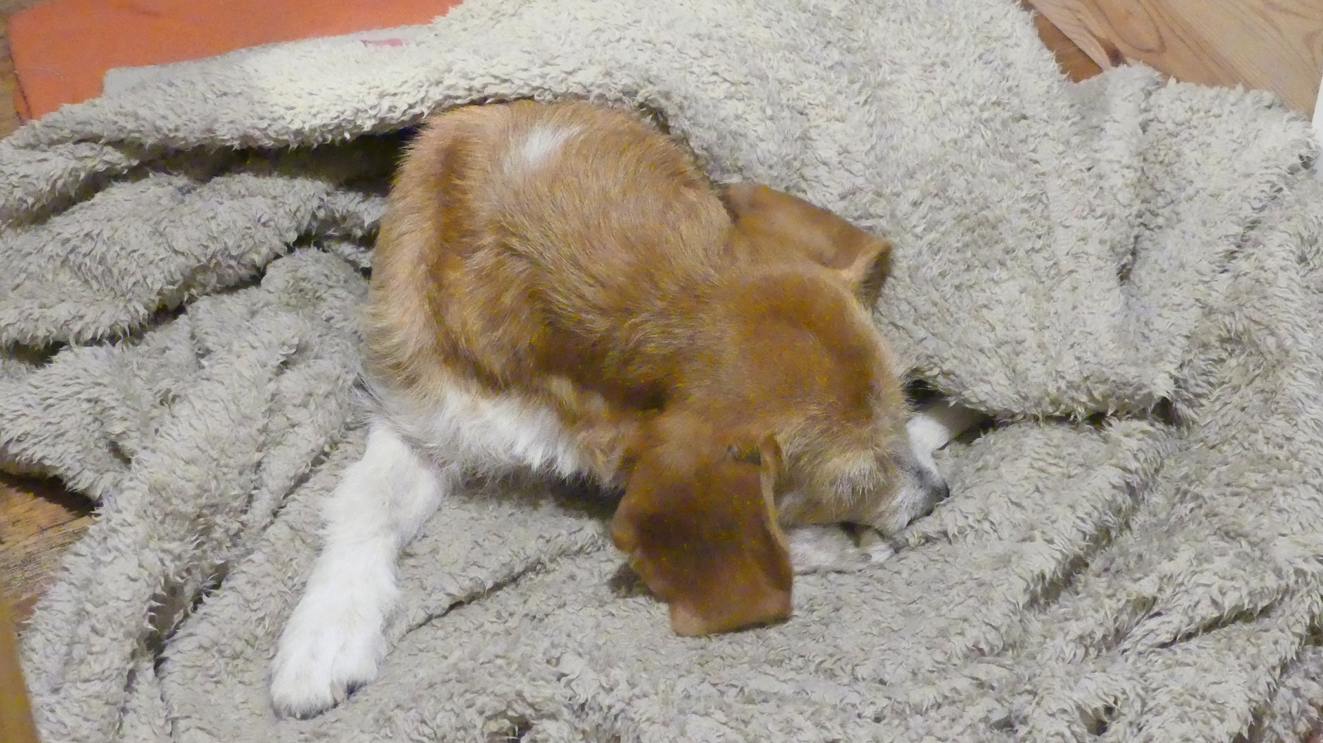 Wie man sich bettet, so schläft man auch Foto & Bild | europe, france ...