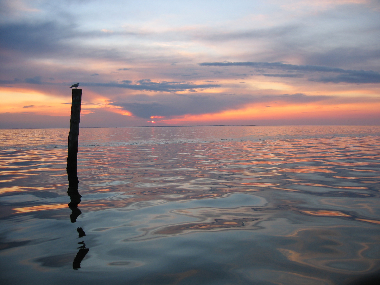 Wie ruhig und friedlich die Nordsee doch sein kann Foto & Bild ...