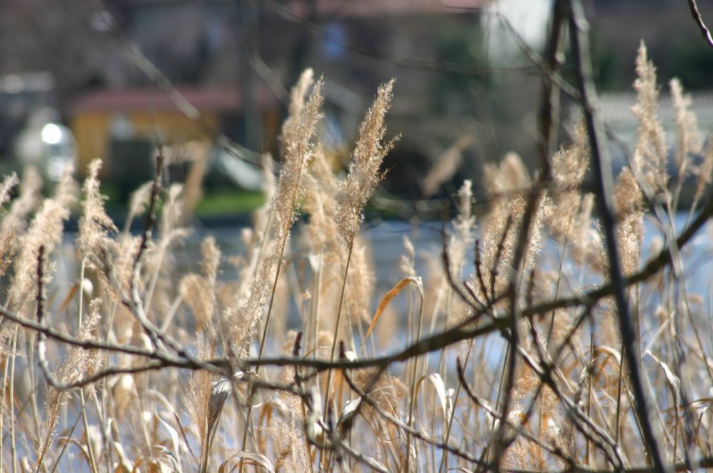 wie schön der Herbst doch sein kann Foto & Bild | landschaften, natur ...