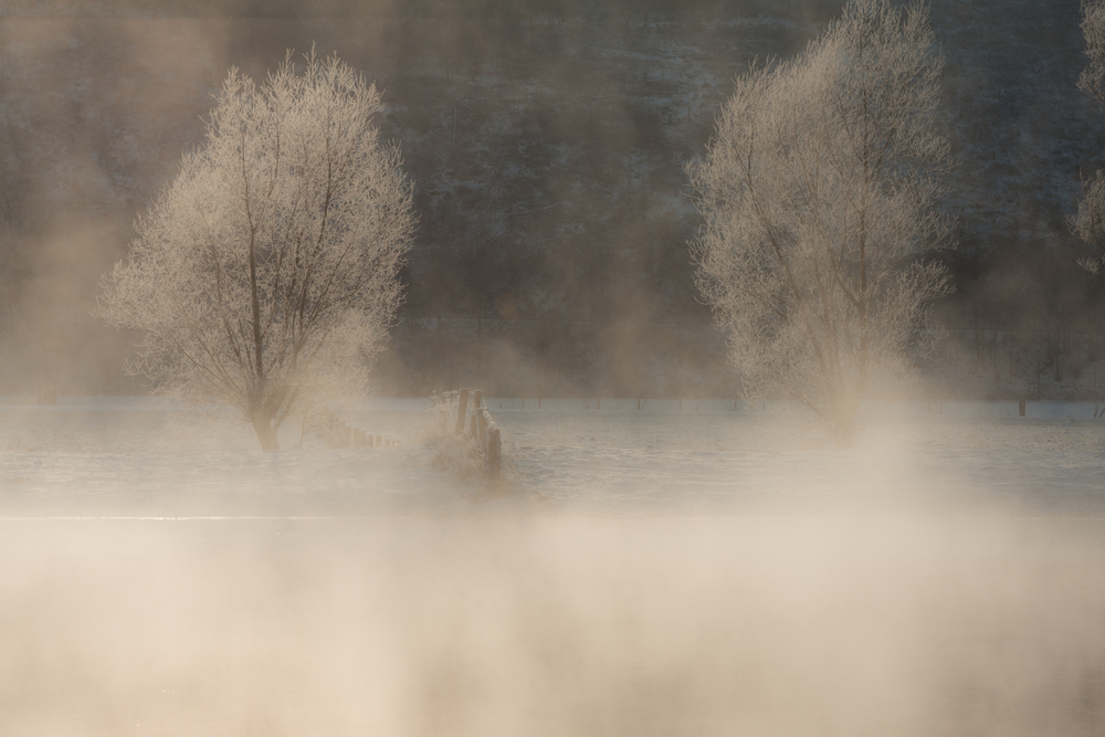 Wieder war es Neblig... Foto & Bild | jahreszeiten, winter ...