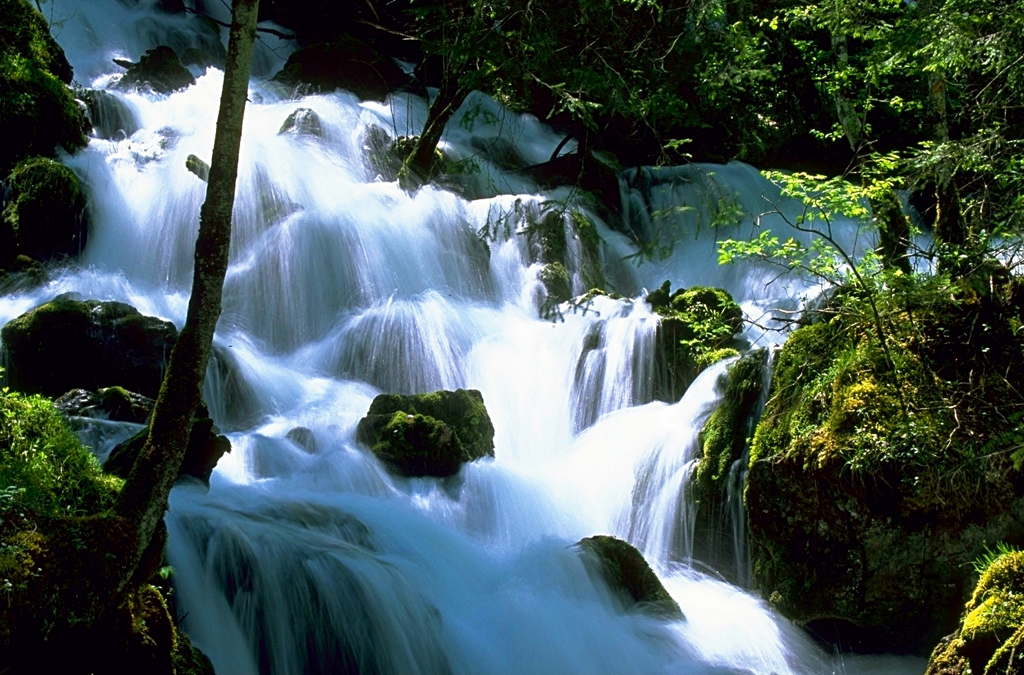 Wiener Quellwasser Foto & Bild | die elemente, natur Bilder auf ...