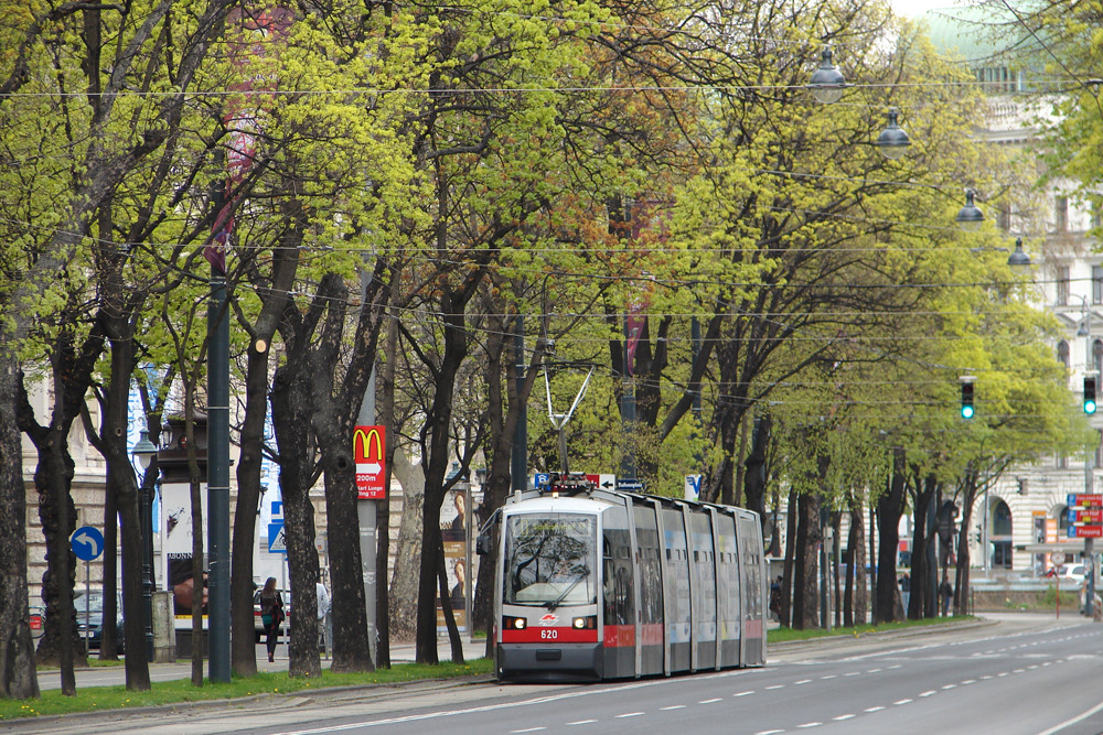 Wiener Straßenbahn Foto & Bild | bus & nahverkehr, straßenbahnen ...