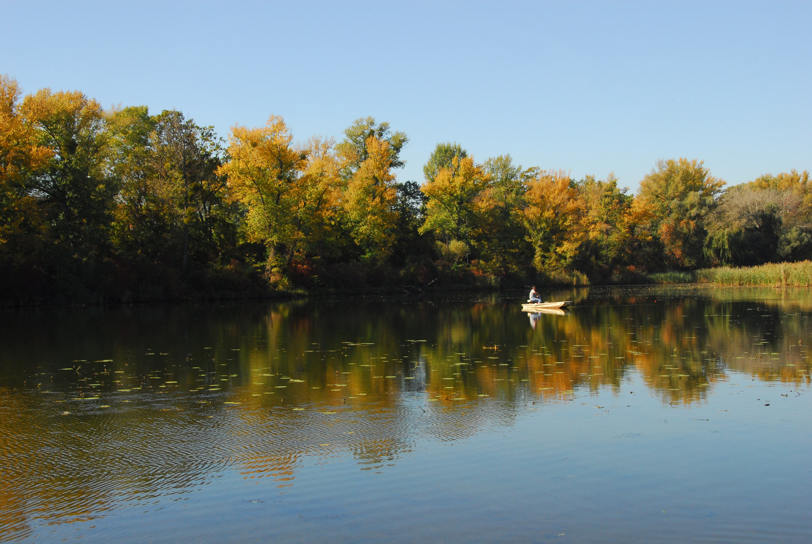 Wien_Lobau_2018 Foto & Bild | jahreszeiten, herbst, natur Bilder auf ...