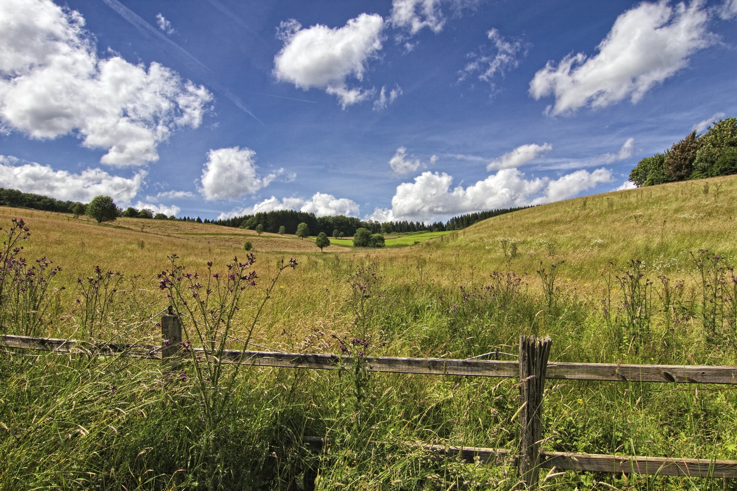 Wiesen und Weiden II Foto & Bild | sommer, blau, wolken Bilder auf ...