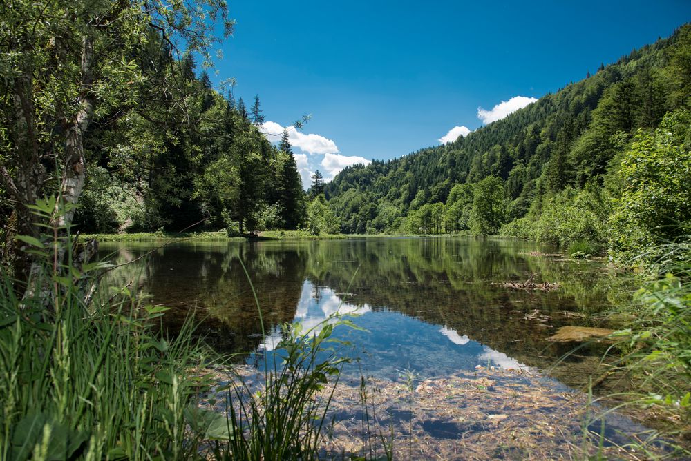 Wiesensee Foto & Bild | monatswettbewerbe, foto des jahres 22 sehnsucht ...