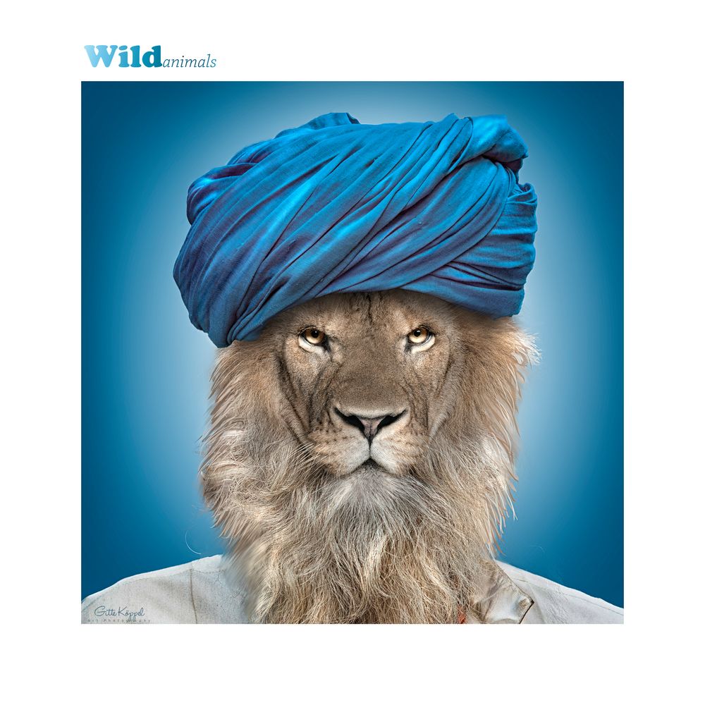 -wild animal- Foto & Bild | fotomontage, composing , art Bilder auf ...
