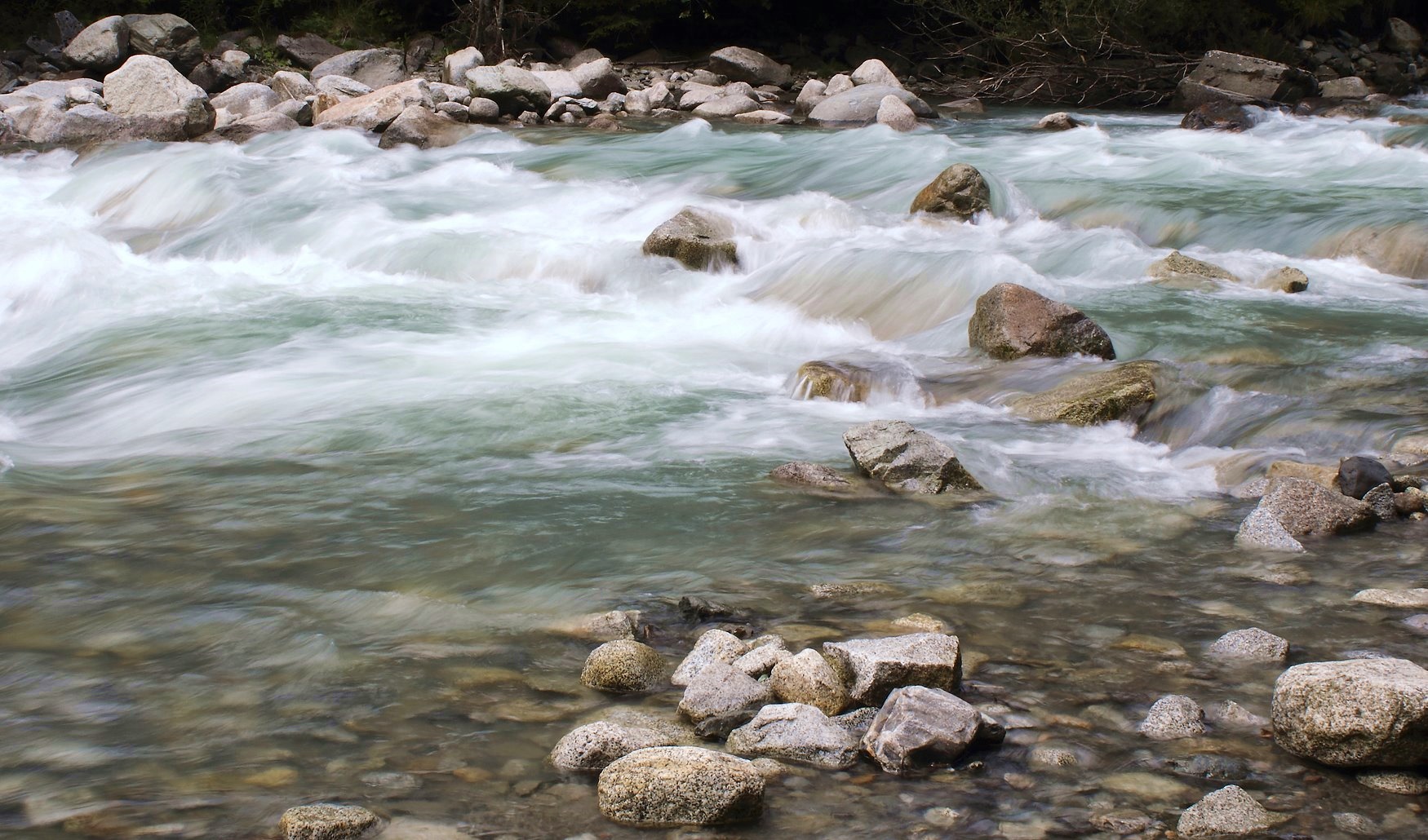 WILD & WEICH Foto & Bild | nature, water, wasser Bilder auf fotocommunity