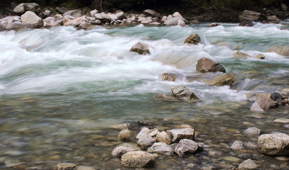 WILD & WEICH Foto & Bild | nature, water, wasser Bilder auf fotocommunity