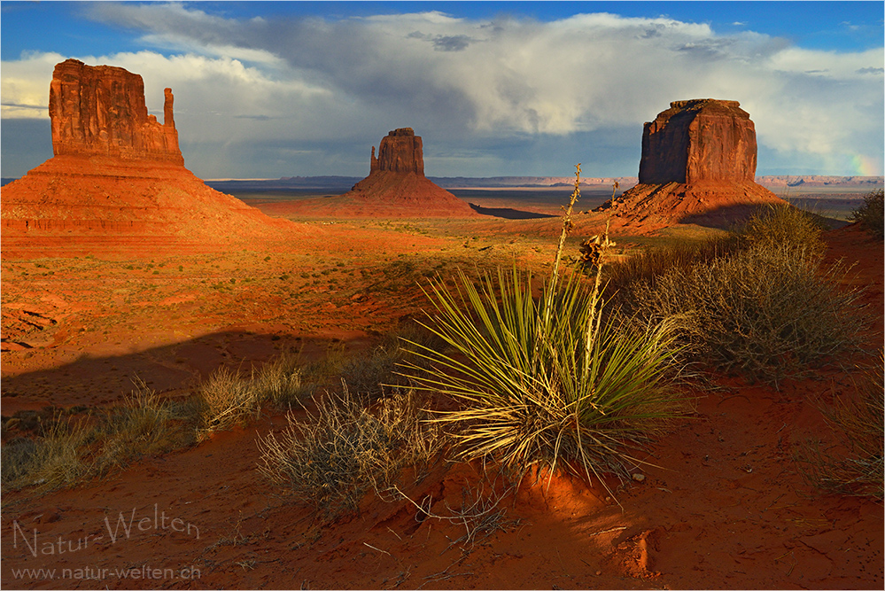 Wild West Foto & Bild | north america, united states, arizona Bilder ...