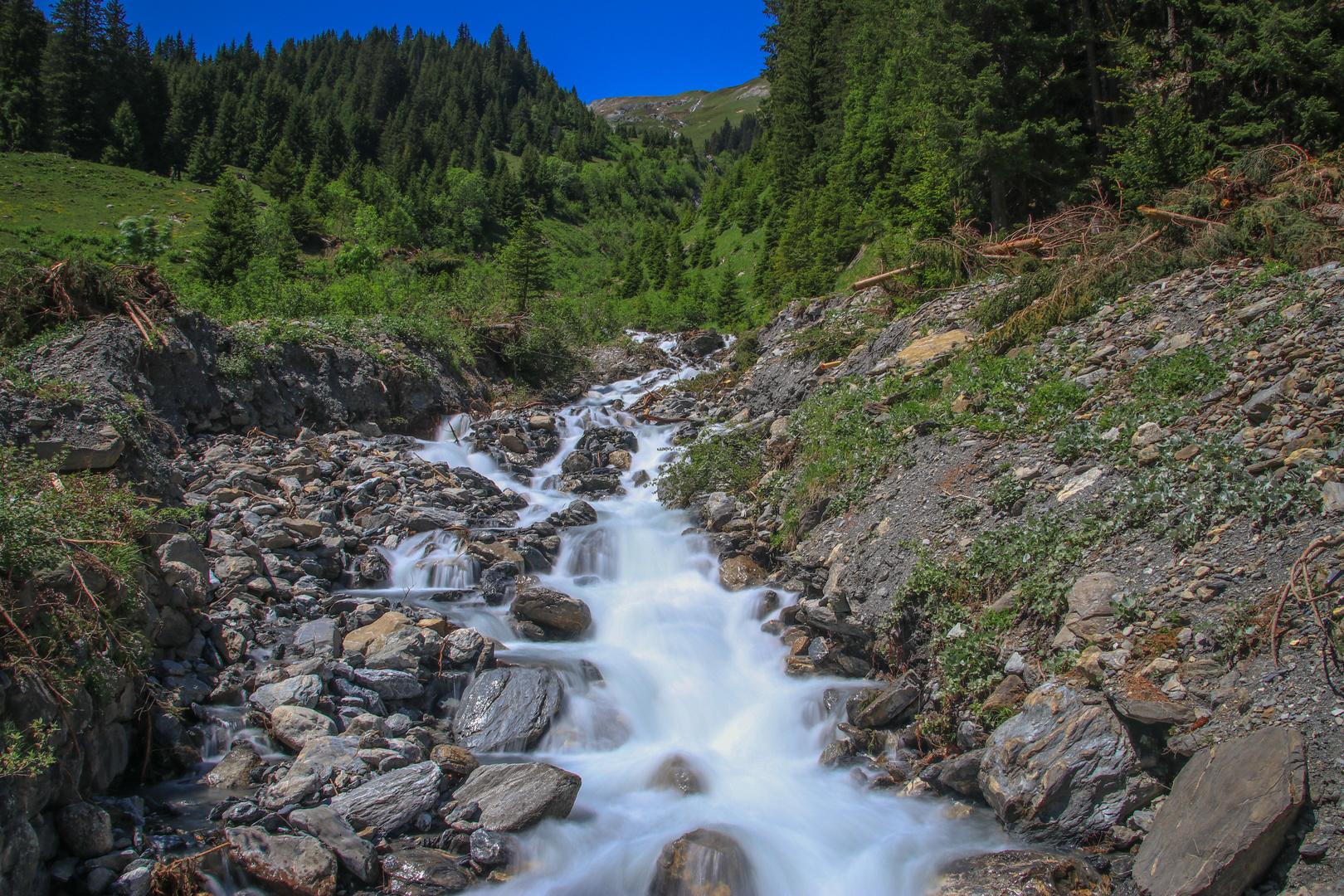 Wildbach Foto & Bild | urlaub, world, wald Bilder auf fotocommunity