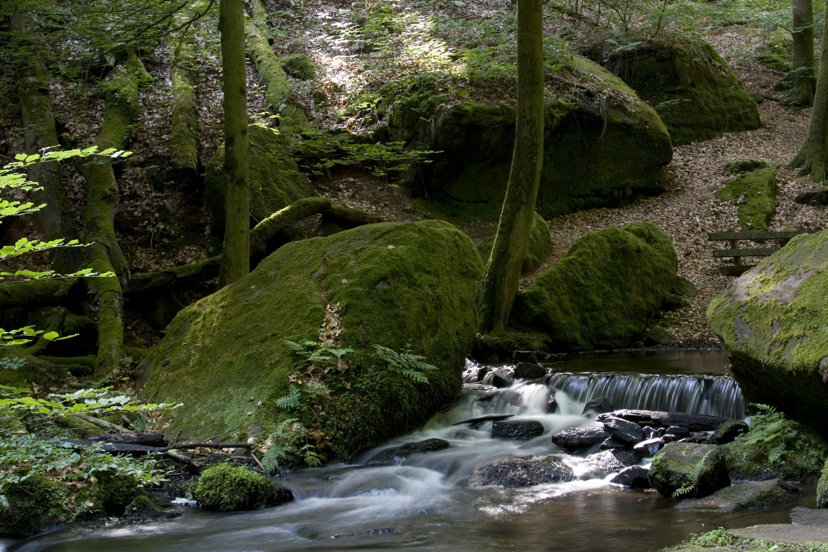 Wildbach Foto & Bild | landschaft, bach, fluss & see, natur Bilder auf ...