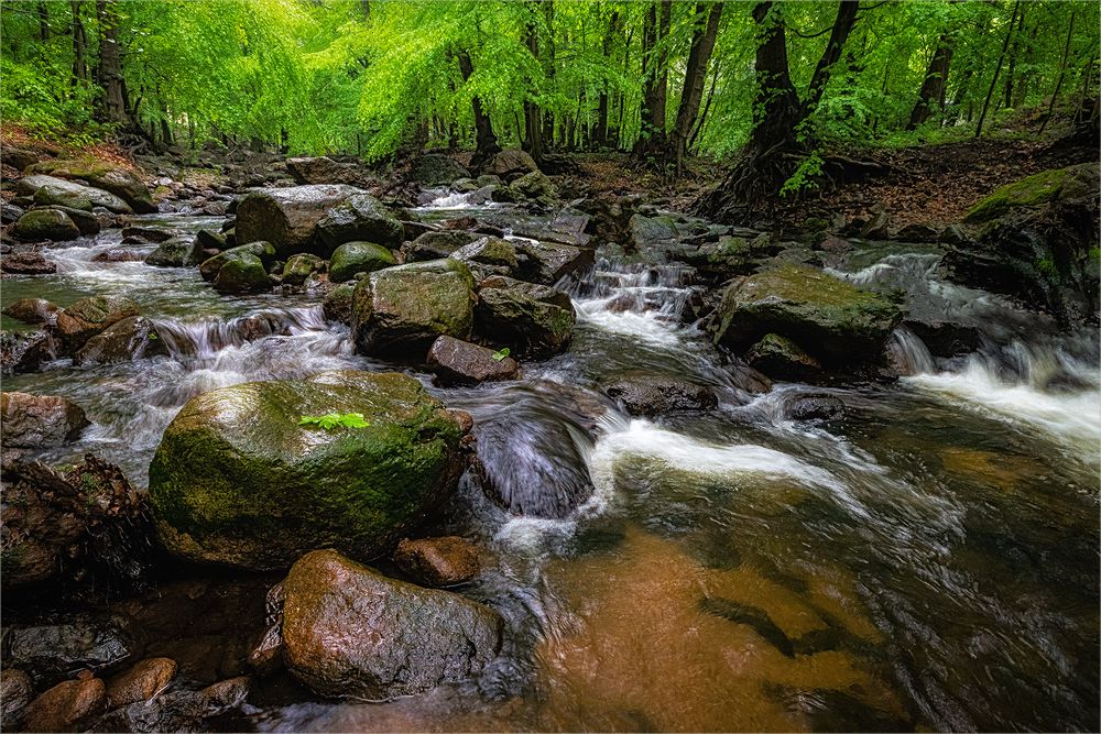 Wilde Ilse II Foto & Bild | fotos, world, natur Bilder auf fotocommunity