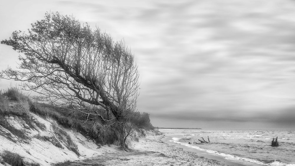 wilde Landschaft Foto & Bild | fotokunst, monochrome fine art, monochrom Bilder auf fotocommunity