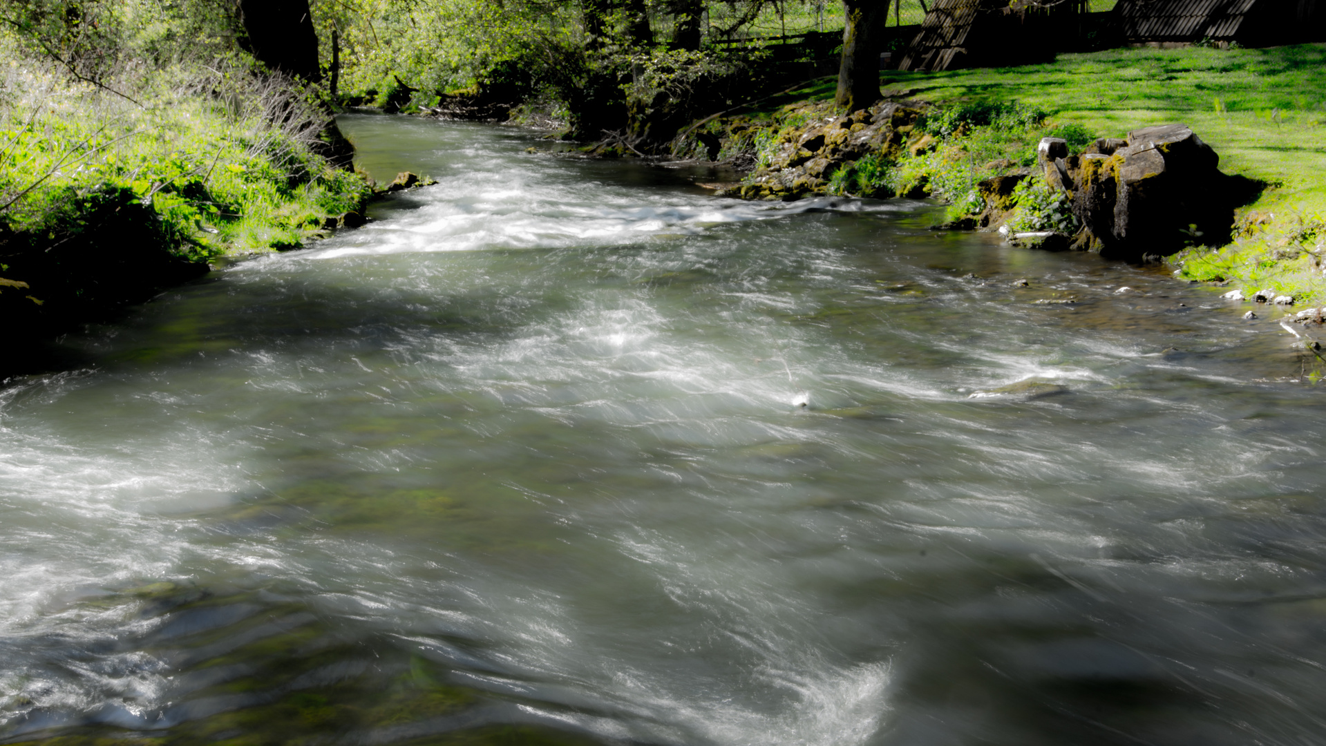 Wilde schwarze Laber Foto & Bild | urlaub, natur, landschaft Bilder auf ...