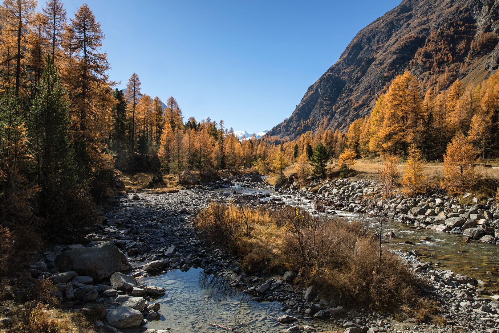 Wildes Rosegtal Foto & Bild | licht, natur, herbst Bilder auf fotocommunity