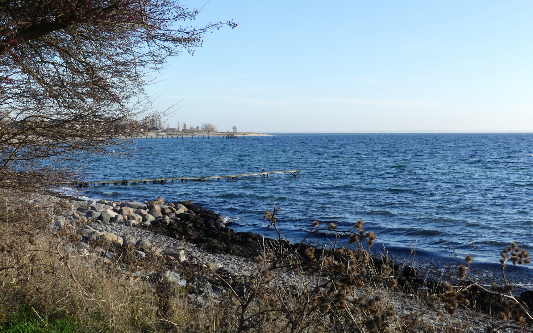 Wildes Ufer Foto & Bild | deutschland, europe, schleswig- holstein ...