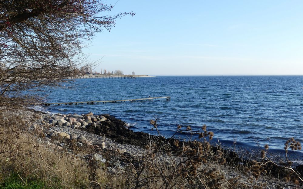 Wildes Ufer Foto & Bild | deutschland, europe, schleswig- holstein Bilder auf fotocommunity