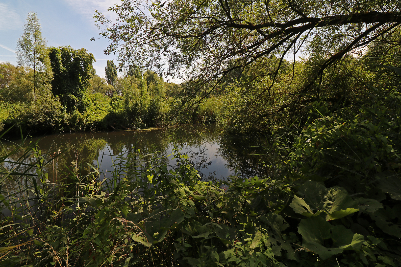 Wildes Ufer Foto & Bild | landschaften, sommer, wasser Bilder auf fotocommunity
