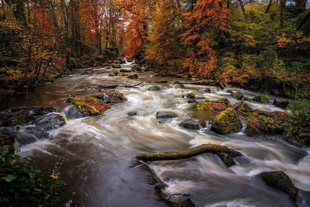 Wildes Wasser Foto & Bild | landschaft, jahreszeiten, herbst Bilder auf fotocommunity