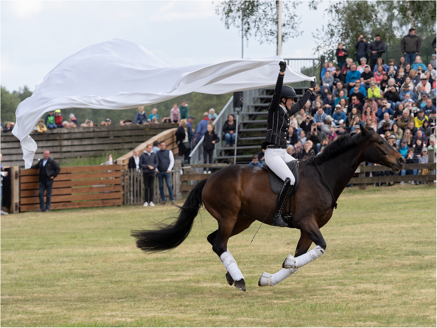 Wildpferdefang in Dülmen..... Foto & Bild | people, outdoor, pferde ...