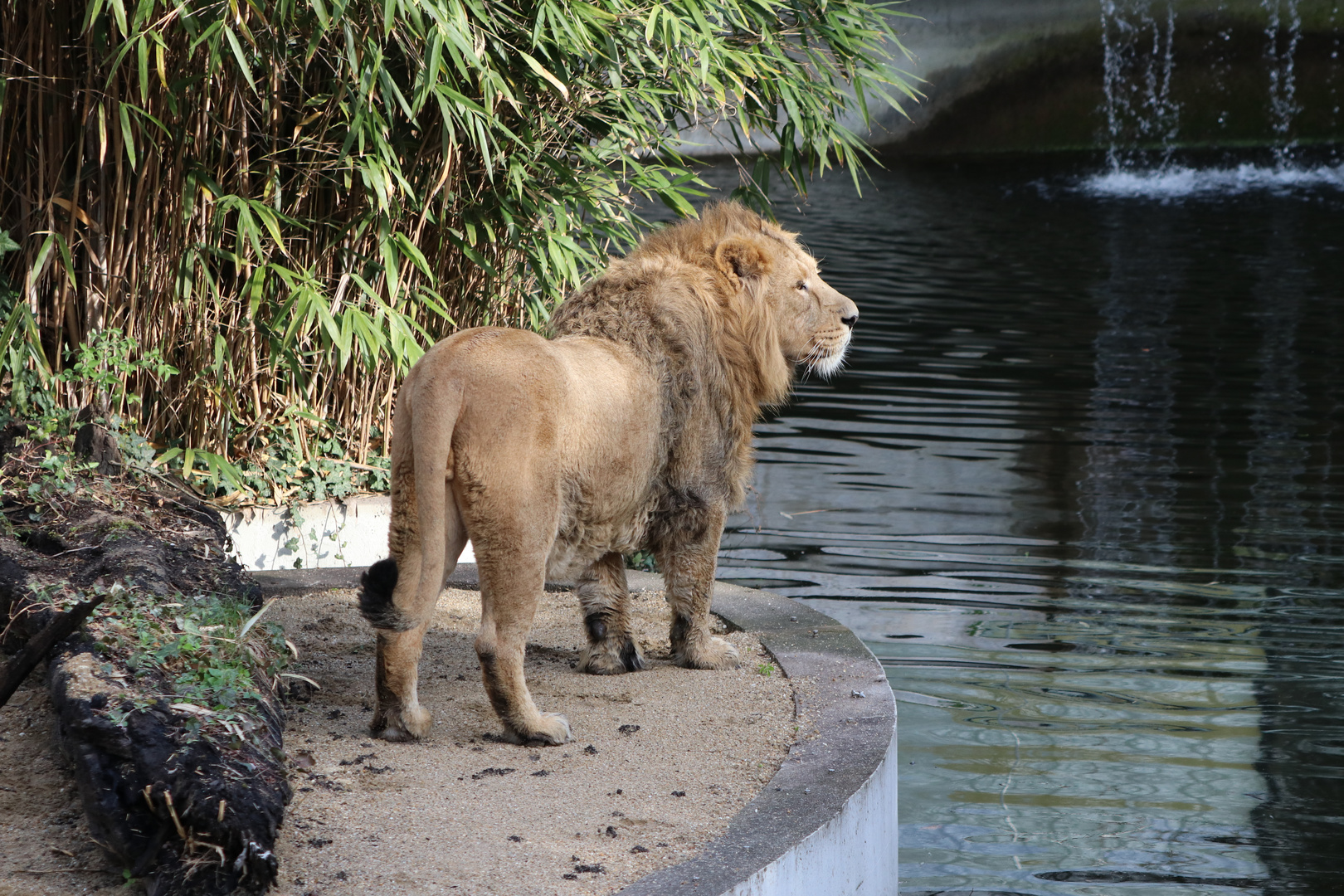 Wilhelma Stuttgart Foto & Bild | tiere, zoo, wildpark & falknerei ...
