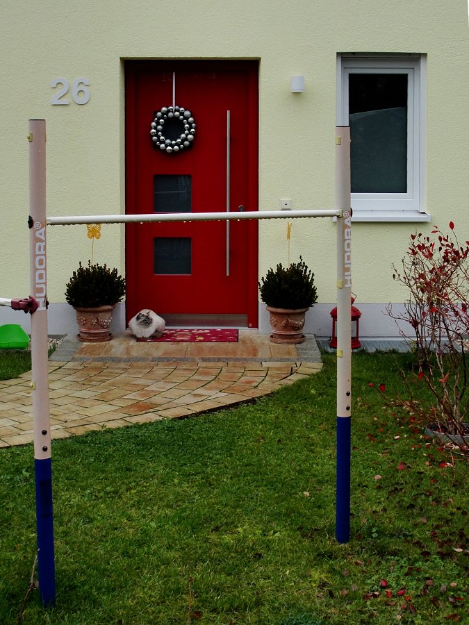 Will rein Foto & Bild | rot, fenster, katzen Bilder auf fotocommunity