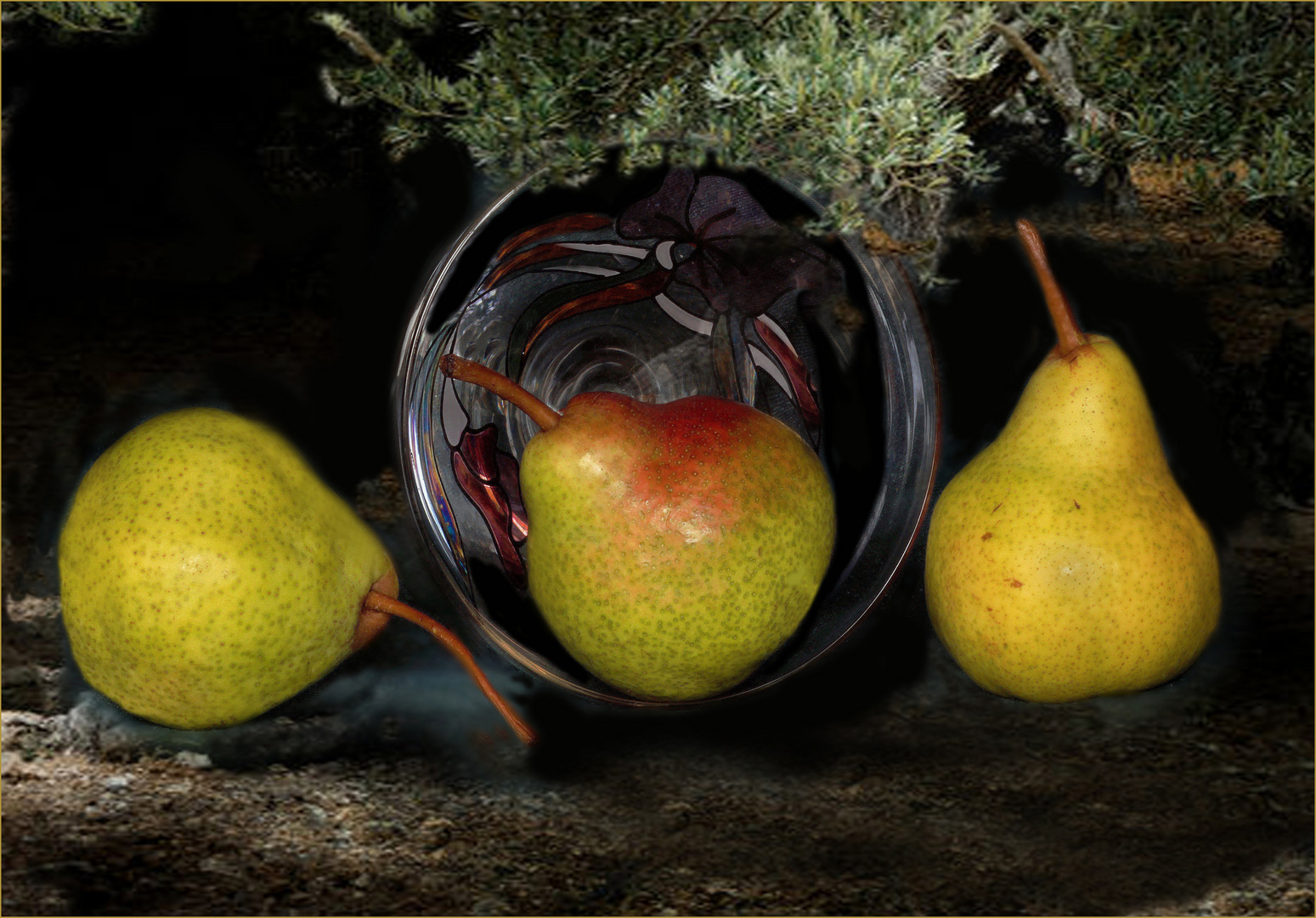 Williams Birnen Foto & Bild | obst , fotos, spezial Bilder auf ...