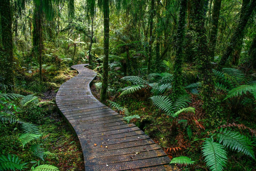 Willkommen in der Natur Foto & Bild | foto des jahres: lebensräume ...