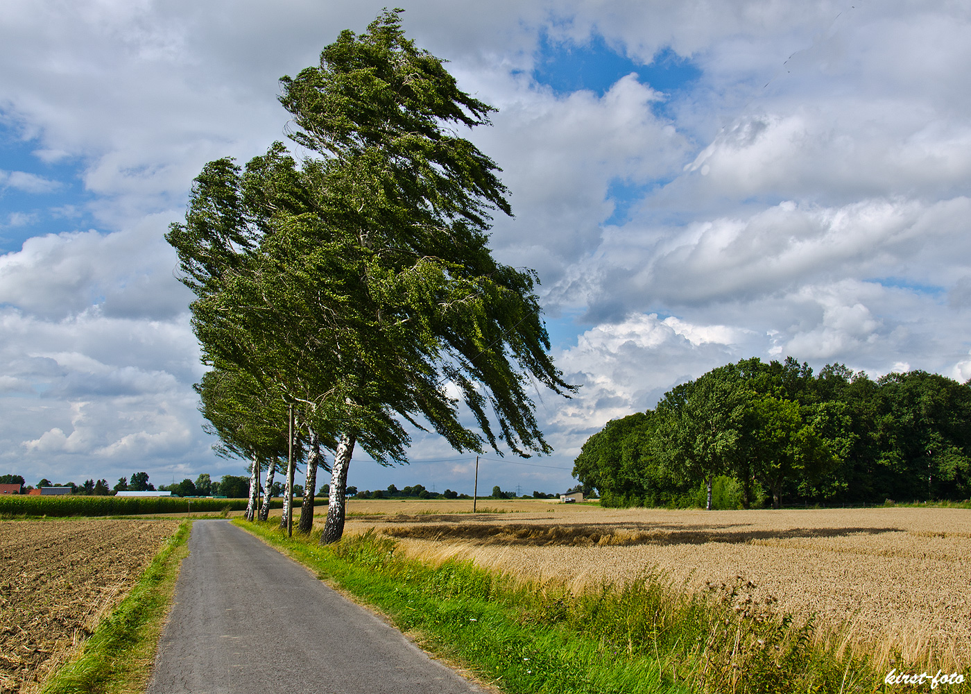 Wind Foto & Bild | wolken, himmel, natur Bilder auf fotocommunity