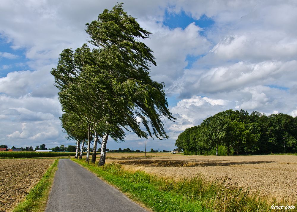 Wind Foto & Bild | wolken, himmel, natur Bilder auf fotocommunity