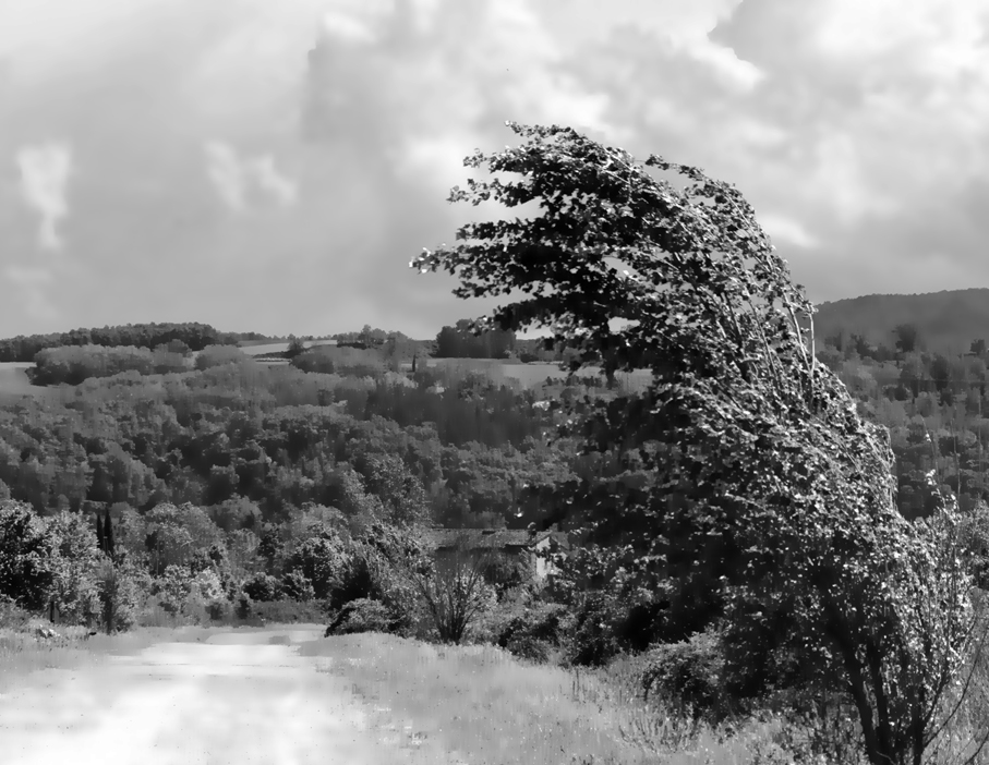 Wind Foto % Immagini| nature, landscape, b-w Foto su fotocommunity