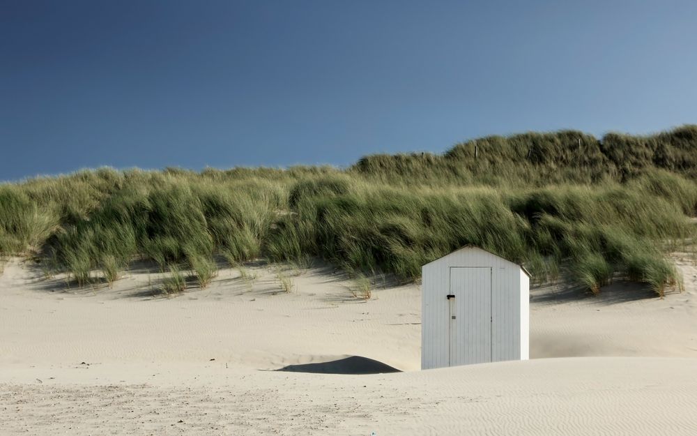 Wind, Strand und Strandhaus Foto & Bild | europe, benelux, landschaft ...