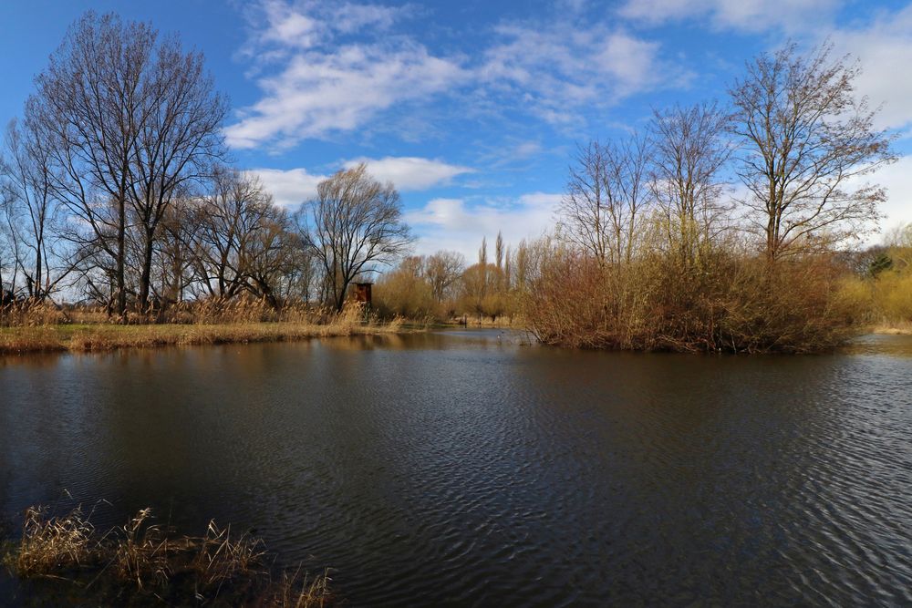 Wind über dem Wasser Foto & Bild | landschaften, wasser, bäume Bilder ...