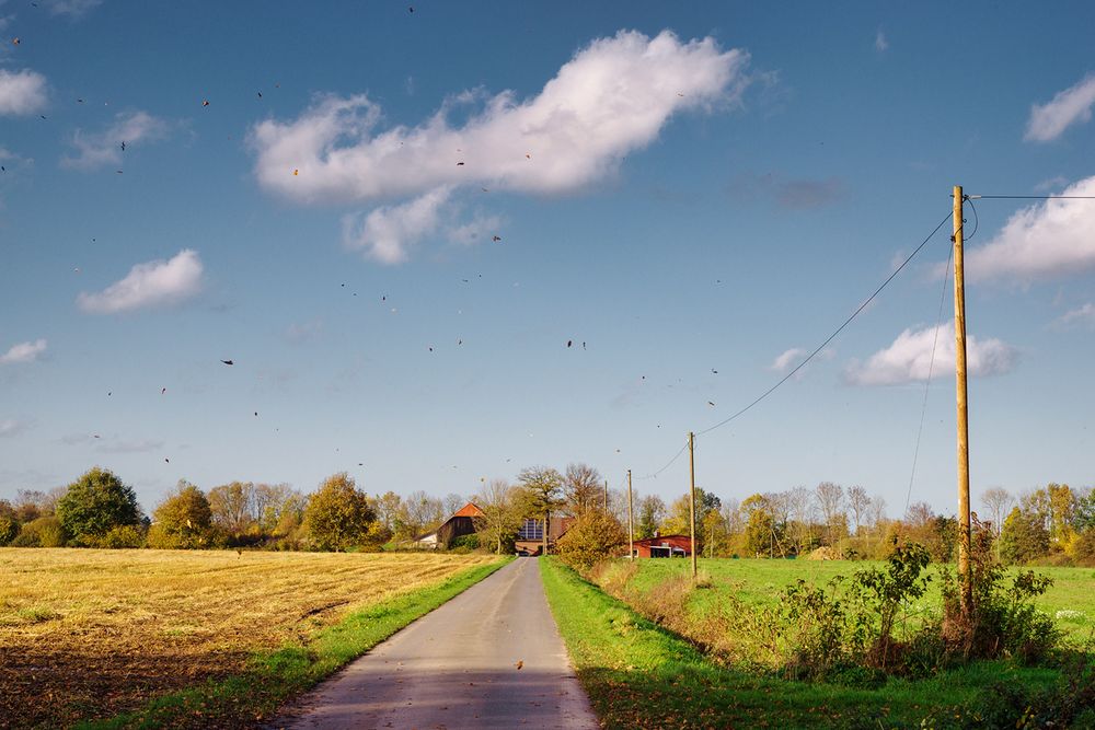 Windig war es Foto & Bild | weg, ländlich, felder Bilder auf fotocommunity