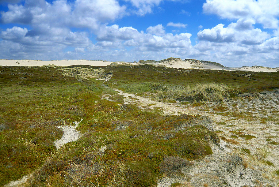 Windland II Foto & Bild | deutschland, europe, schleswig- holstein ...