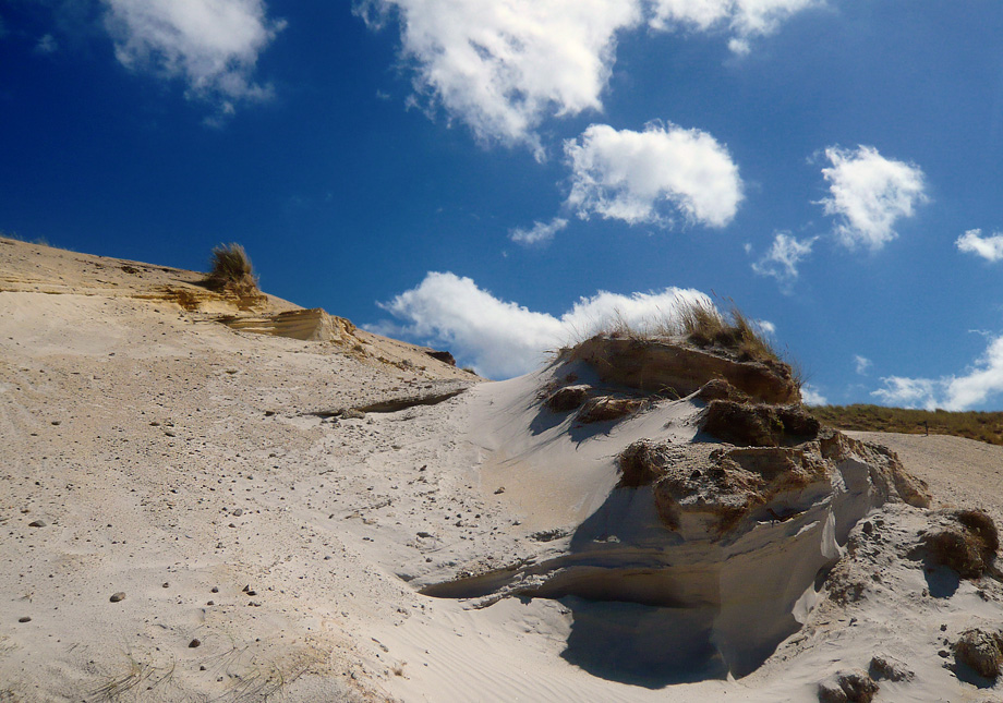Windland - VI Foto & Bild | landschaft, meer & strand, sylt Bilder auf ...