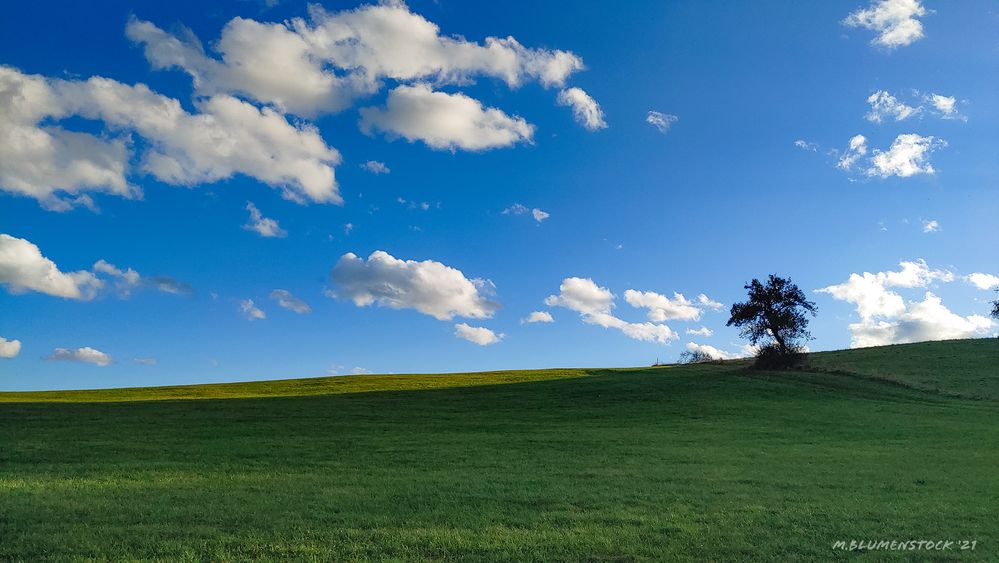 Windows 11 Foto & Bild | deutschland, europe, baden- württemberg Bilder ...