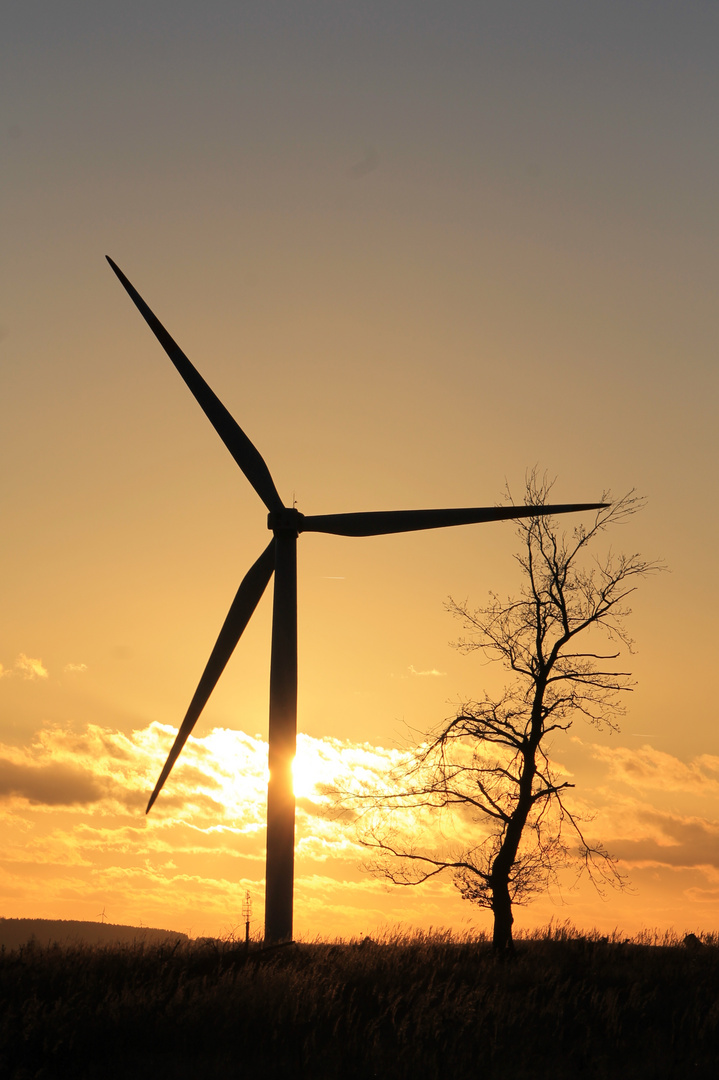 Windrad im Sonnenuntergang Foto & Bild | landschaft, sonnenuntergang ...