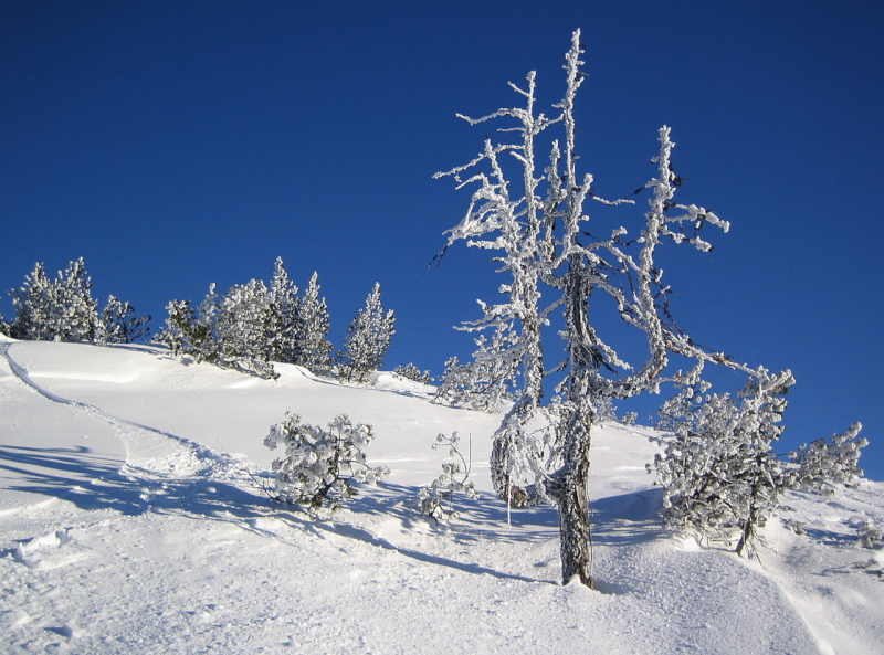 Winter Foto & Bild | jahreszeiten, winter, natur Bilder auf fotocommunity