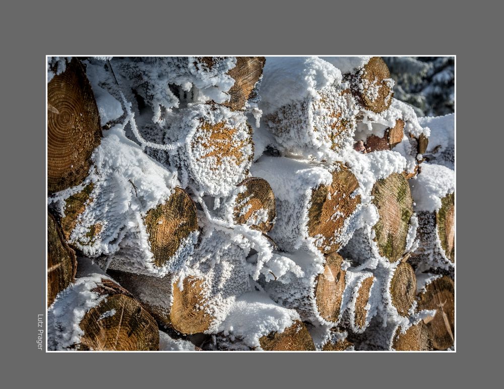 Winter Foto & Bild | jahreszeiten, winter, natur Bilder auf fotocommunity