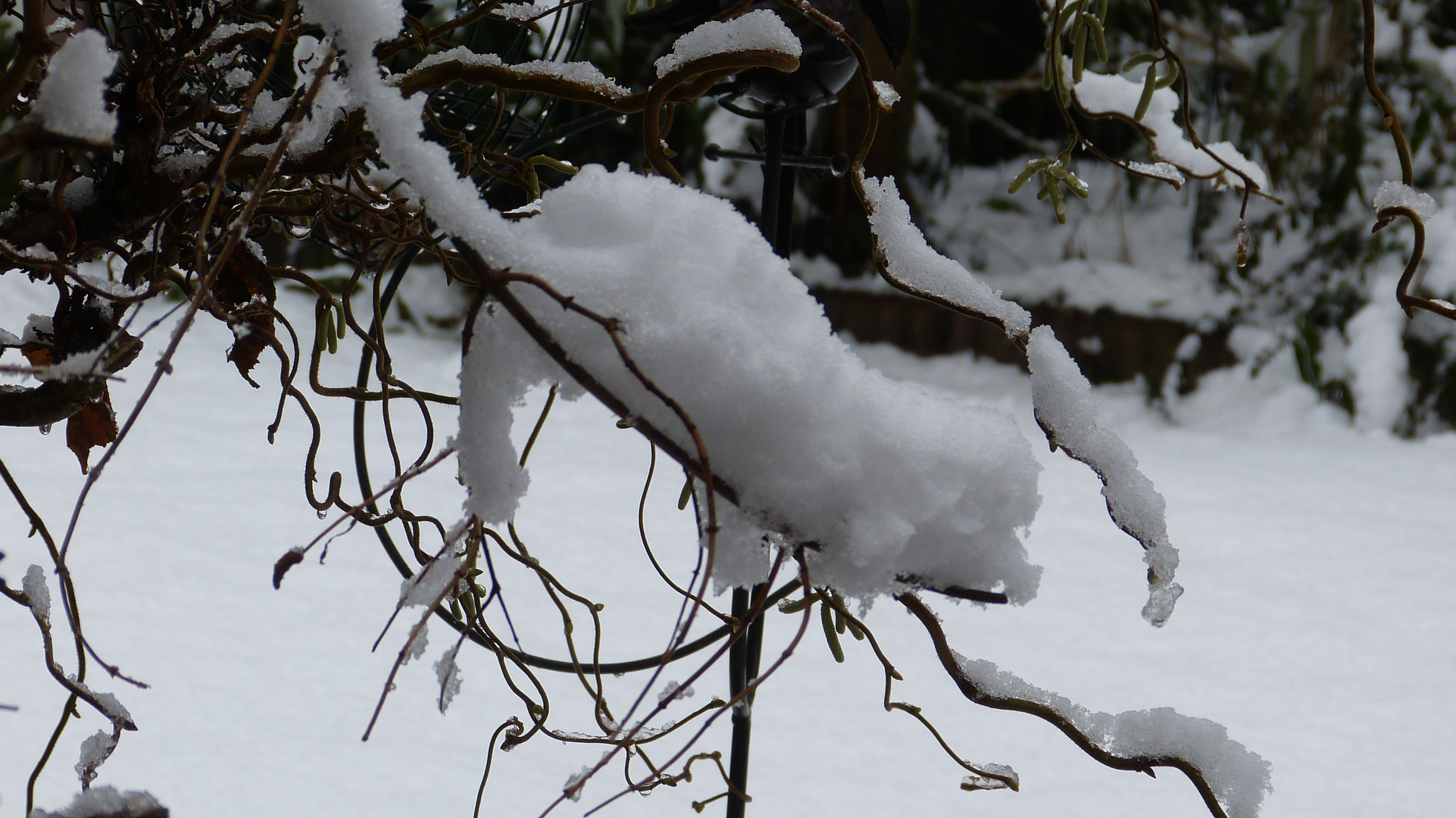 Winter Foto & Bild | jahreszeiten, winter, jahreszeit Bilder auf fotocommunity