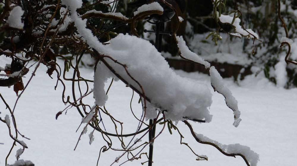 Winter Foto & Bild | jahreszeiten, winter, jahreszeit Bilder auf fotocommunity